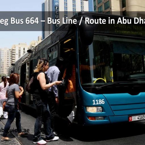 Bus 203 From Abu Dhabi city to BAPS Hindu Temple Routes, Time Schedule ...